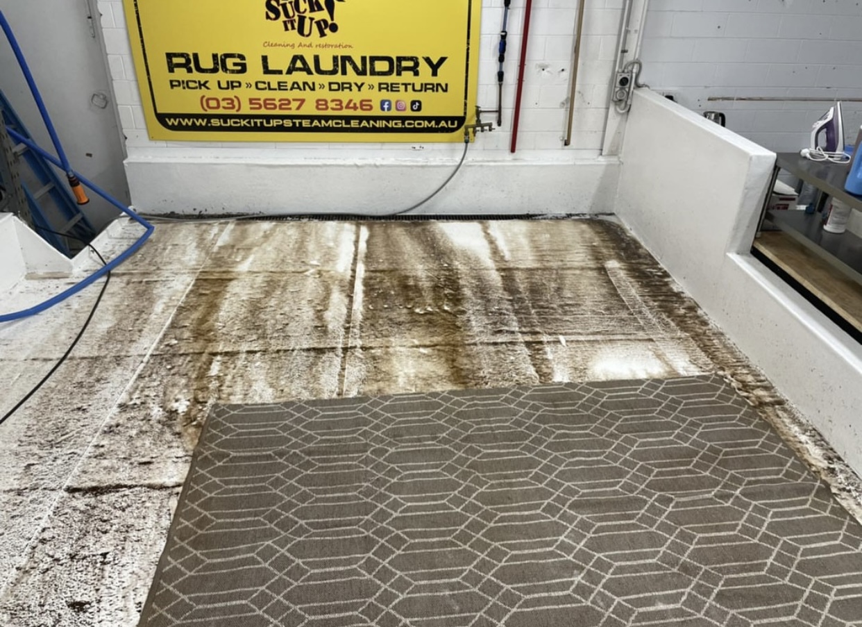Gallery - Rug Laundry